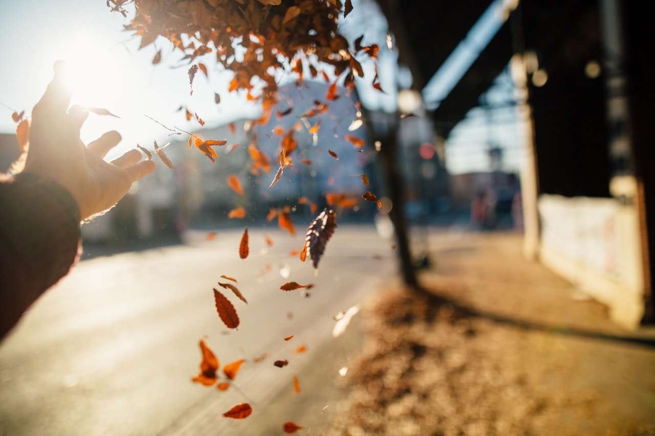 What is Operational Transparency?