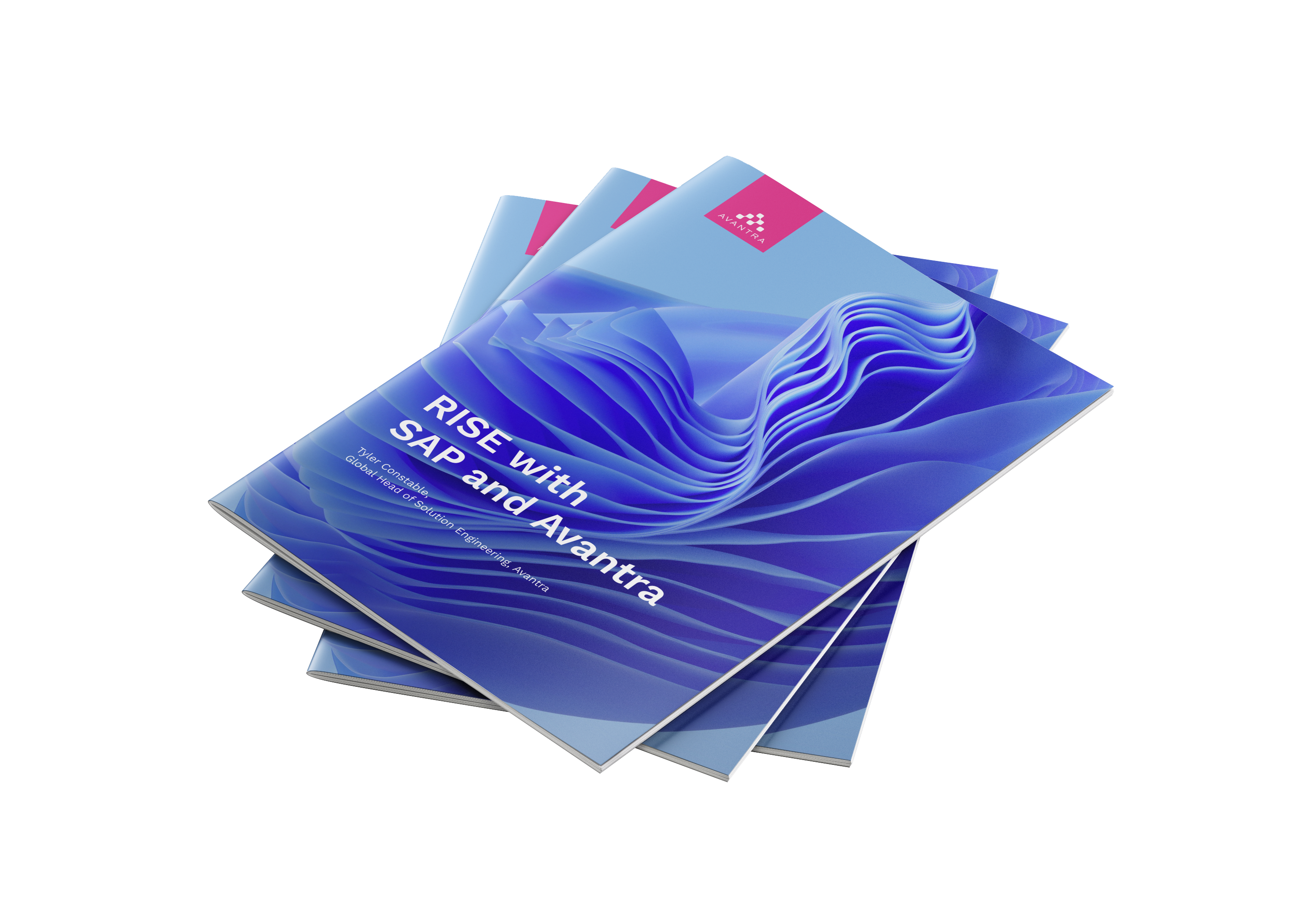 Rise With Sap And Avantra Avantra